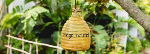 Astuces naturelles anti insectes